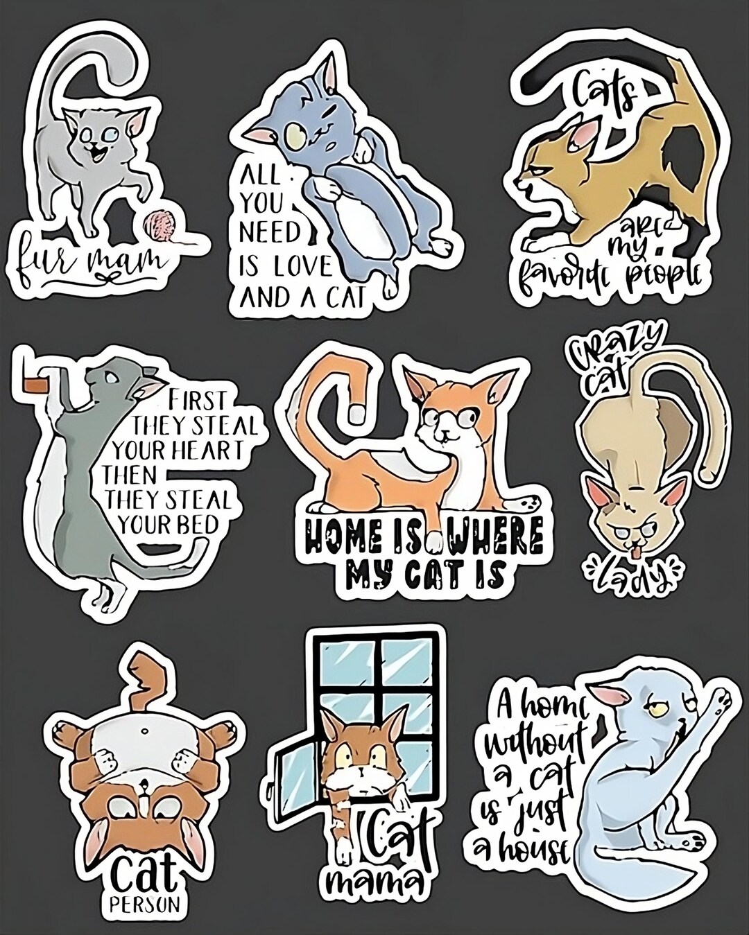 Cat Person Stickers Waterproof - Etsy