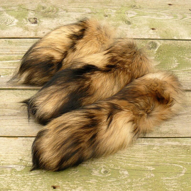 Therian Backpack - Etsy