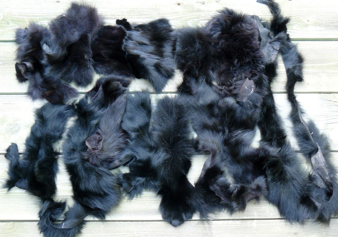 Mix of Black Real Fur Pieces, Fox Pelt Fur for Crafts, Taxidermy Scraps ...