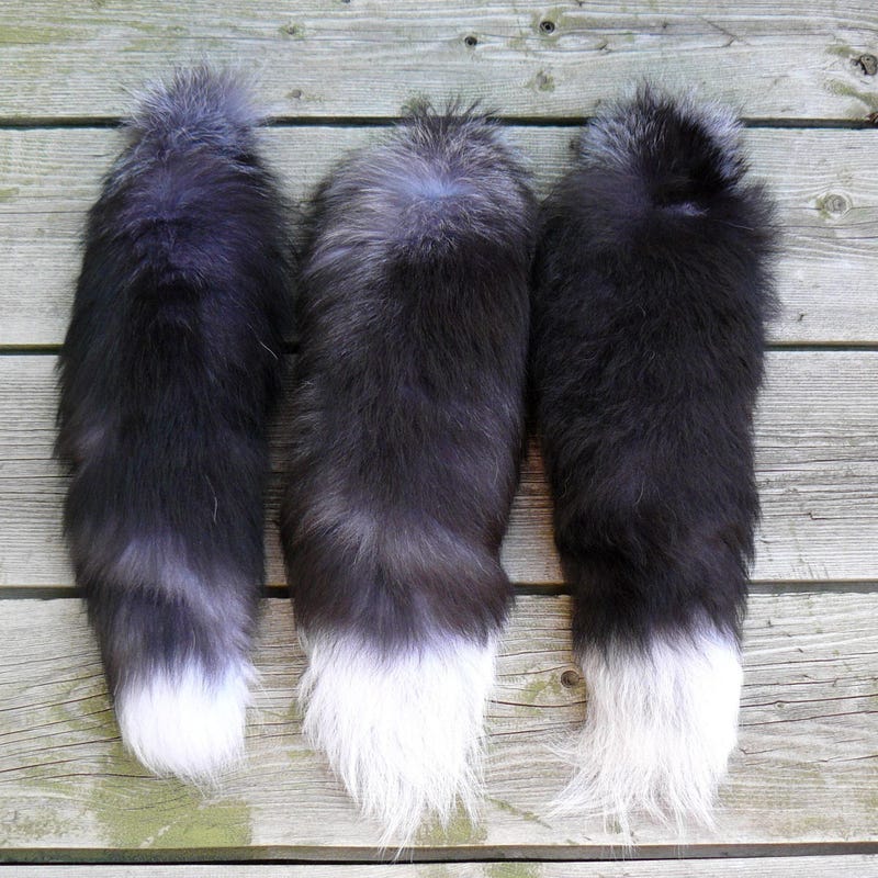 Real Fox Tails - Etsy