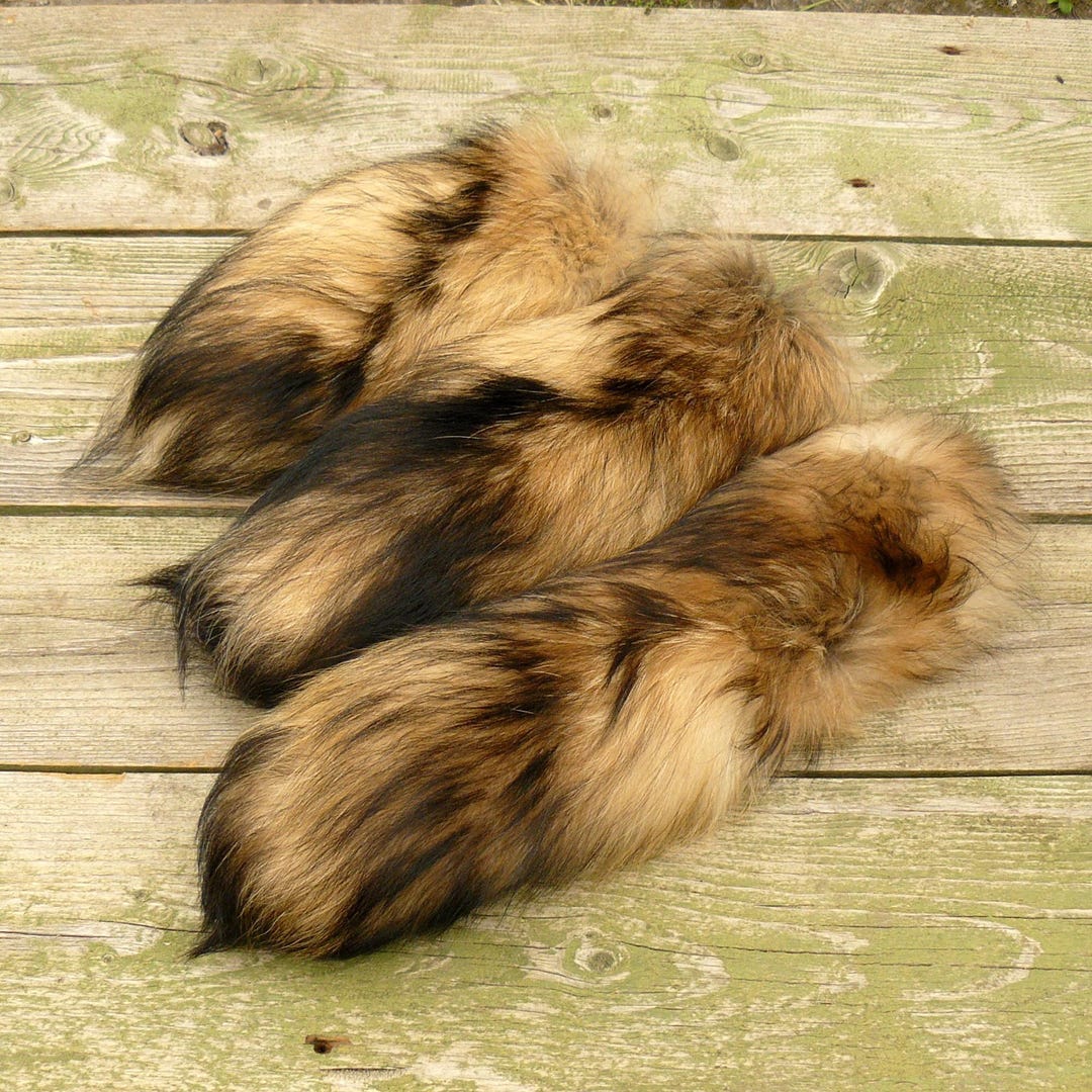 Real Raccoon Fur Tail or Keychain, Genuine Fur Bag Charm, Furry ...