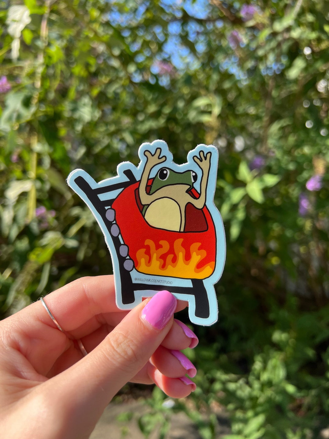 Frog Rollercoaster Vinyl Sticker - Etsy