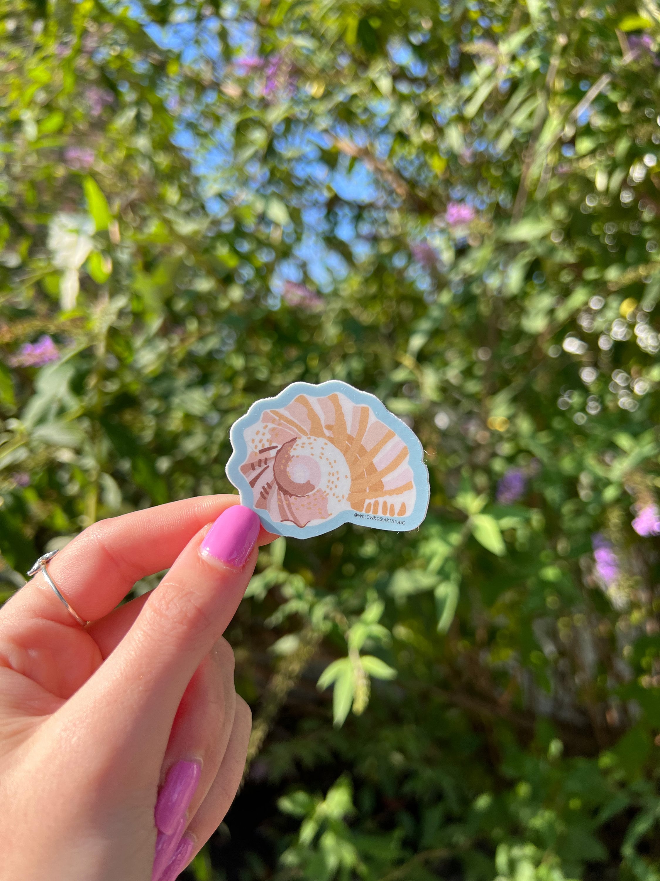 Seashell Vinyl Sticker - Etsy