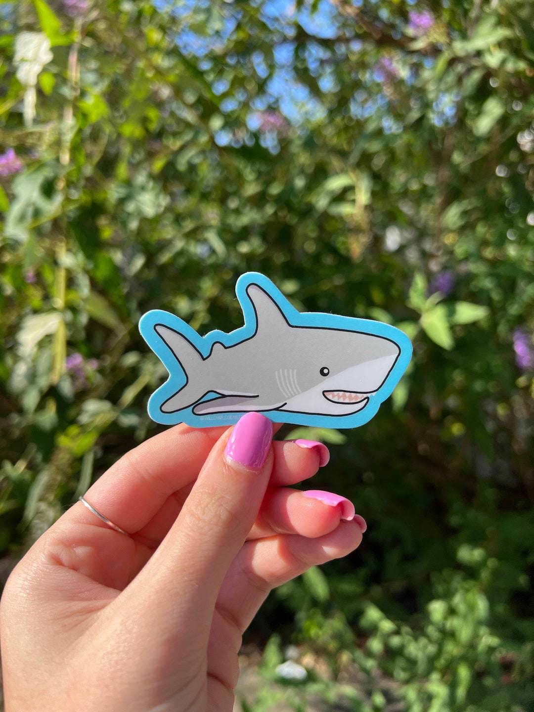 Shark Sticker - Etsy