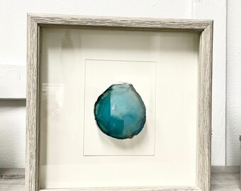 Coral Shadow Box - Etsy