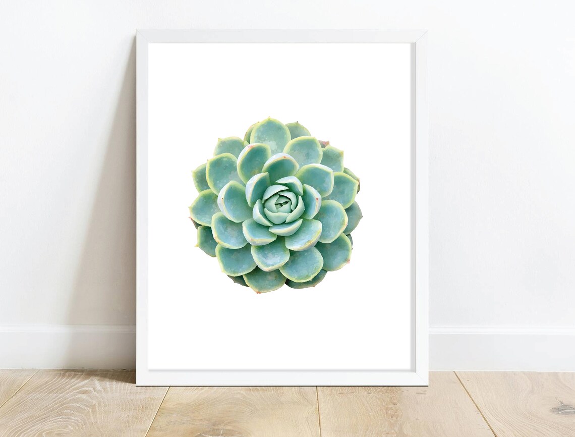 Succulent Wall Decor Girl Room Decor Bedroom Wall Art - Etsy