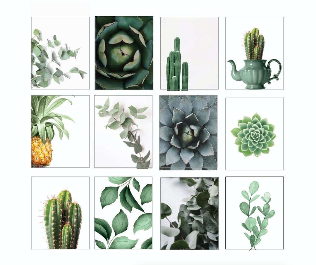 12 Botanical Prints Set Green Wall Art Set Minimal Modern - Etsy