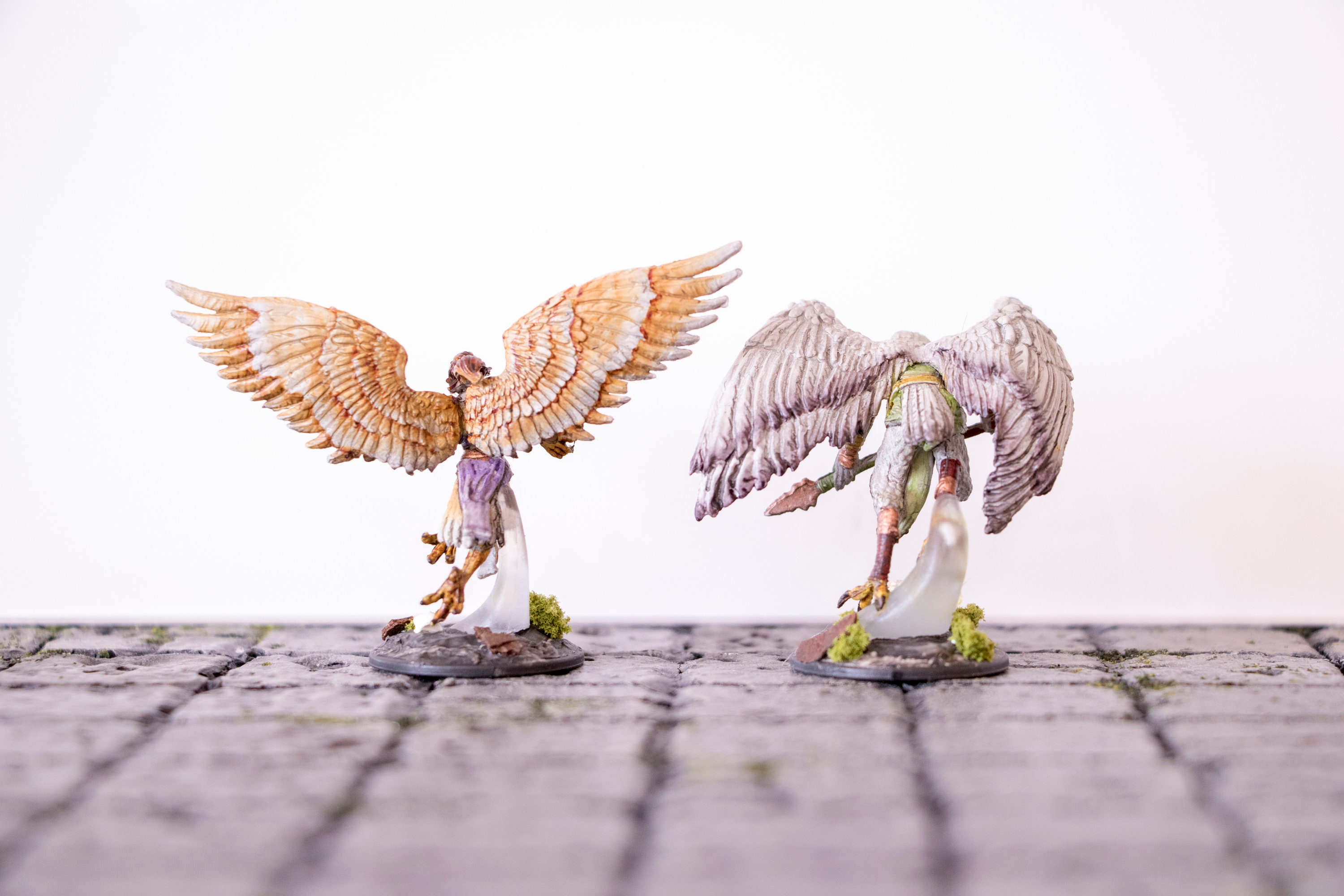 Aarakocra and Harpy Painted Mini - Etsy Ireland