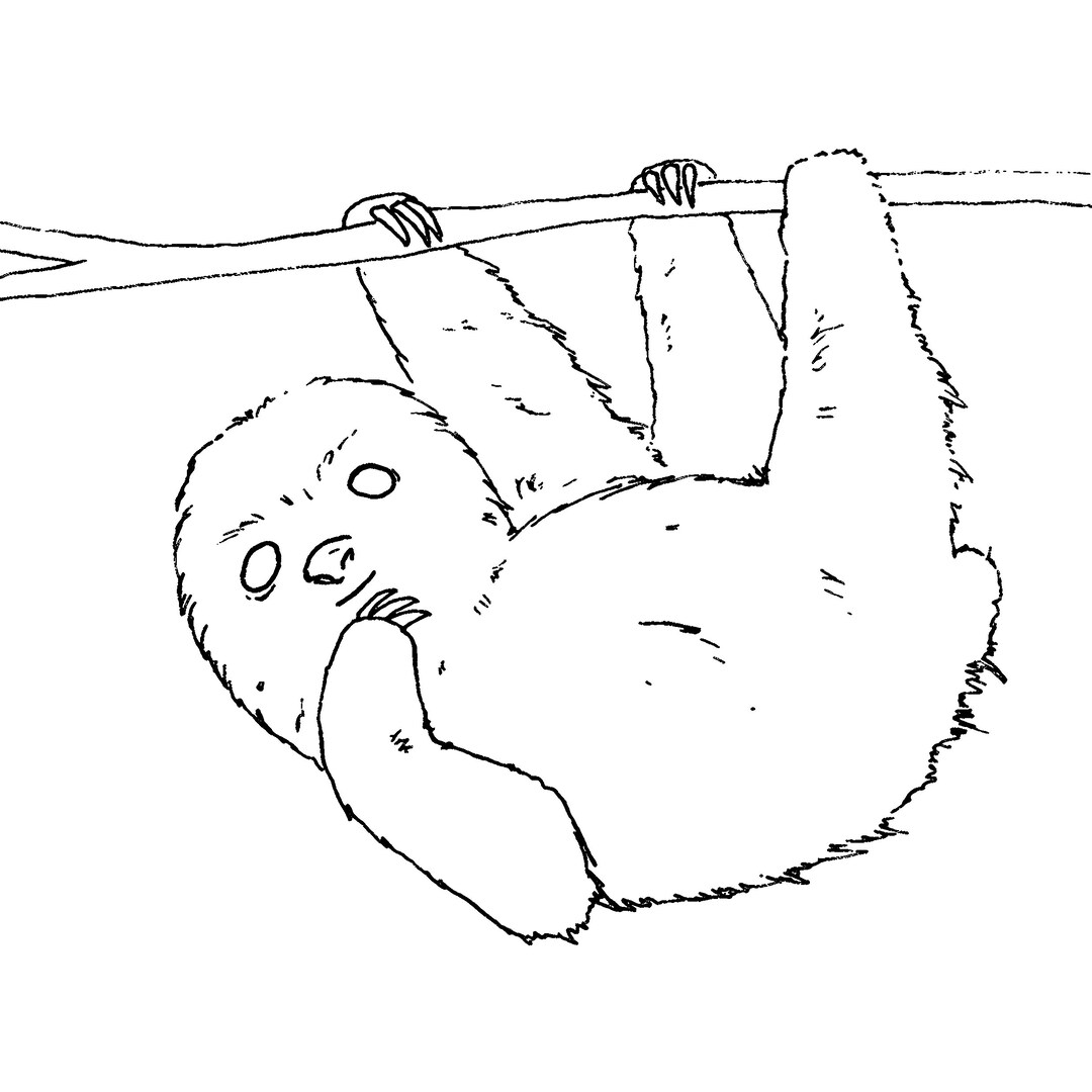 Sloth Coloring Book Page - Etsy