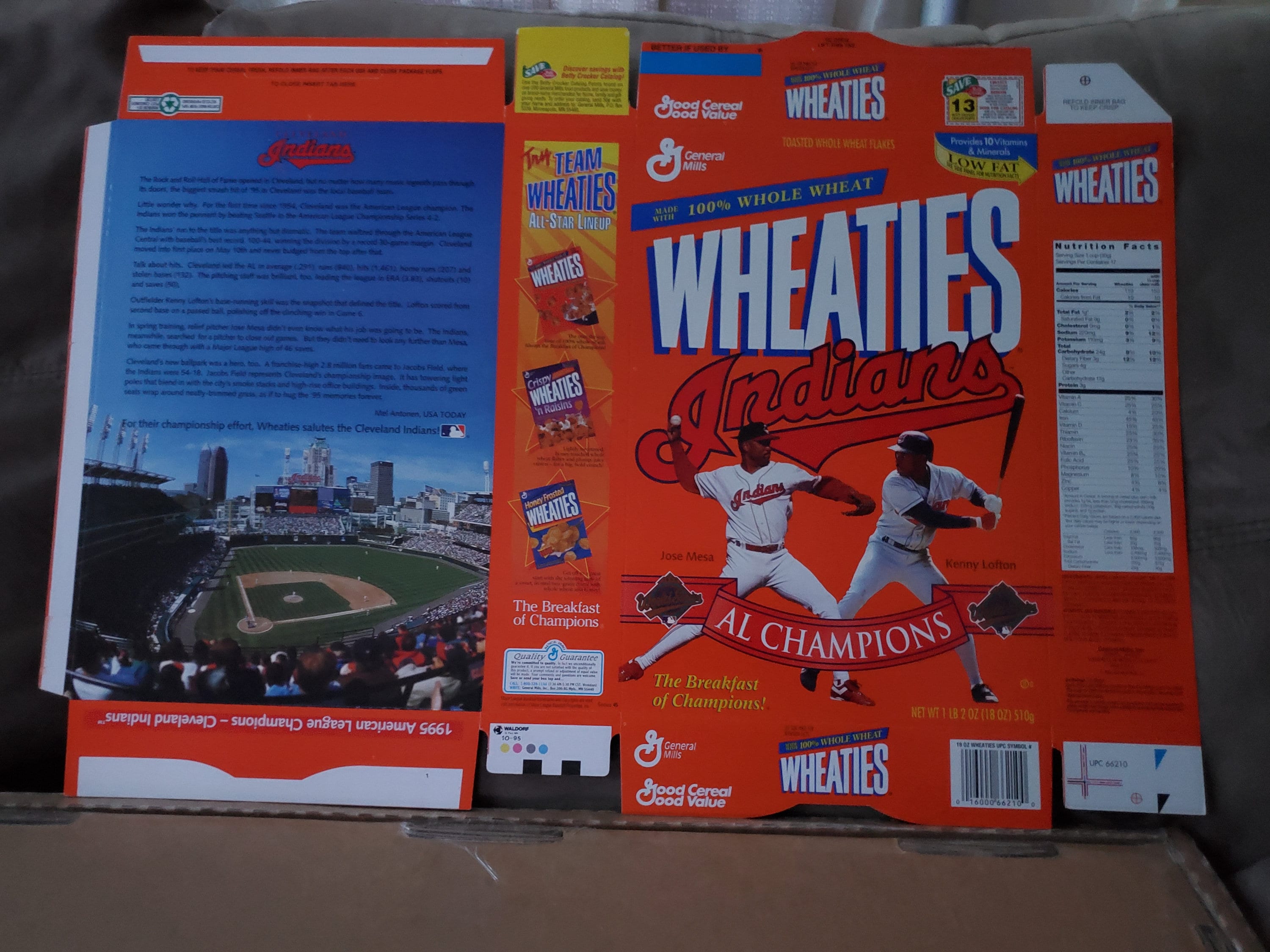 Wheaties Cereal Box Back