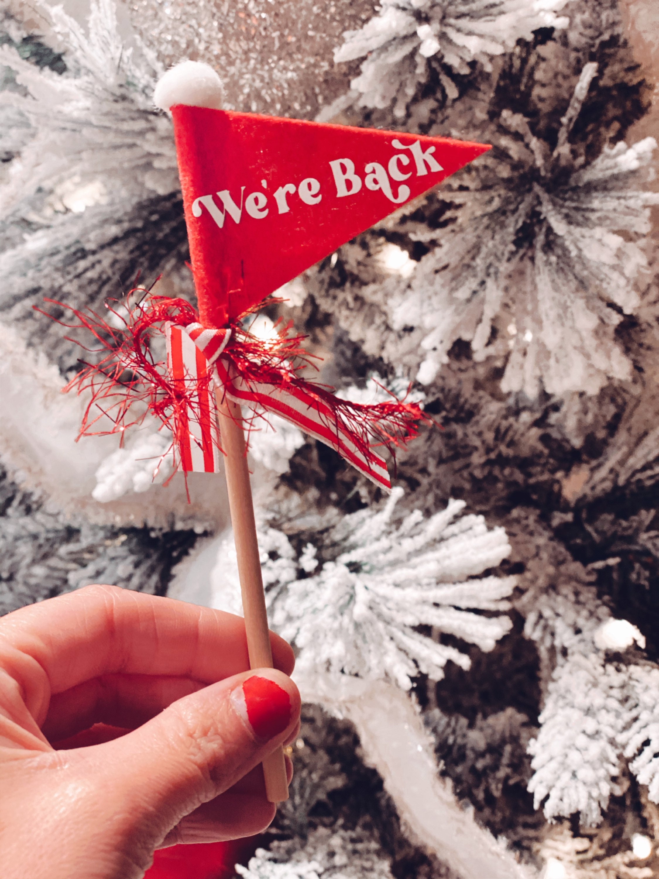 Arrival Flags/ Im Back or Were Back Pennant Flag - Etsy