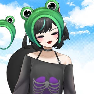 Vtuber Asset: Frog Hats - Etsy