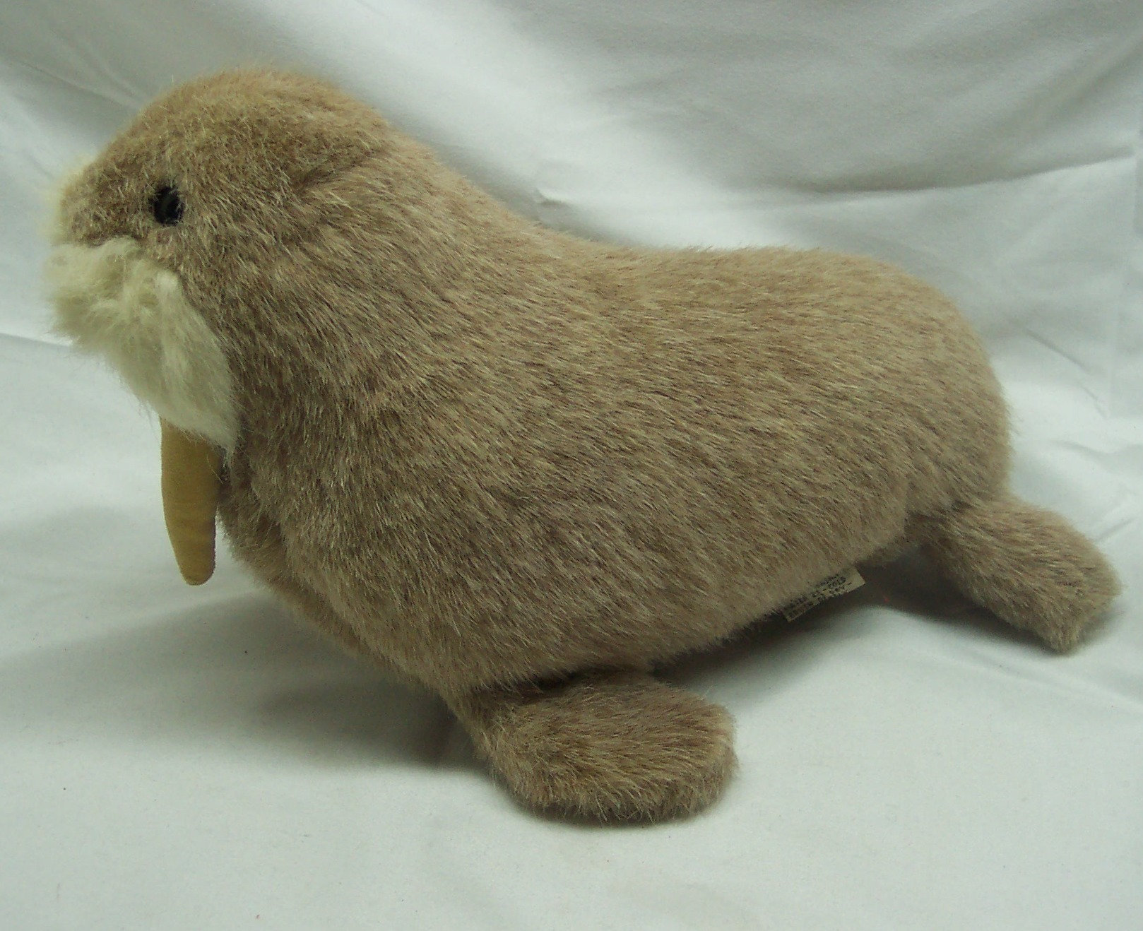 F Naf Walrus