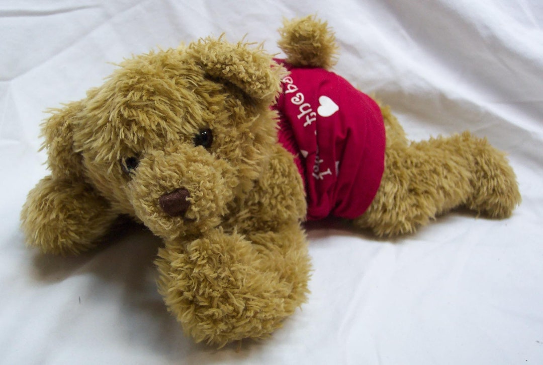 Vintage 2002 HALLMARK BOBBY BOXER Teddy Bear W/ Red Heart 12" Plush ...