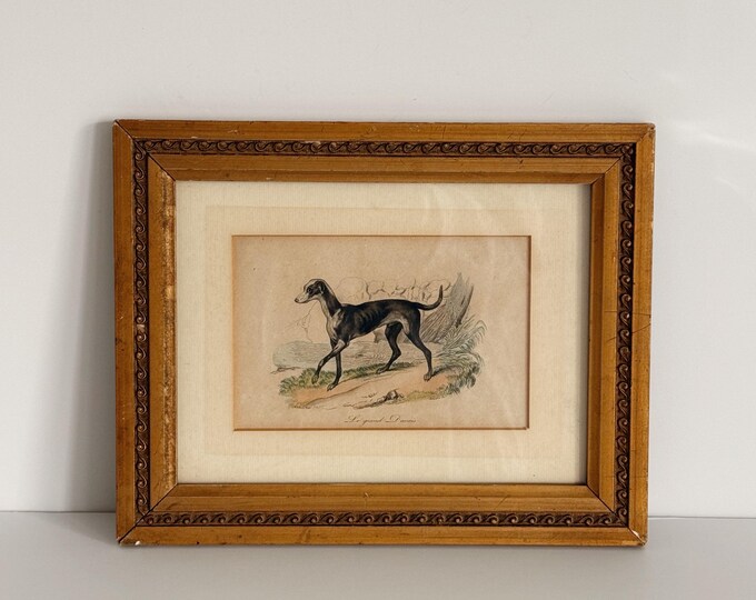 Antique French Dog Etching in Gold Leaf Frame - Etsy