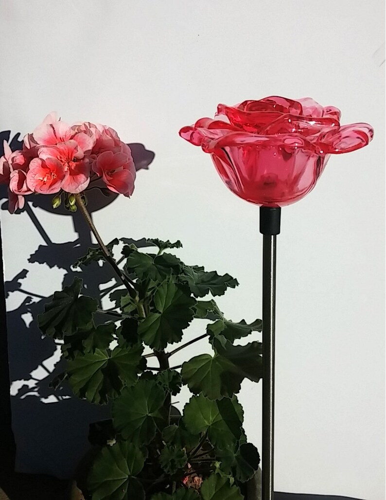 Solar Powered Red Rose Flower Multi-color Changing LED Light - Etsy UK