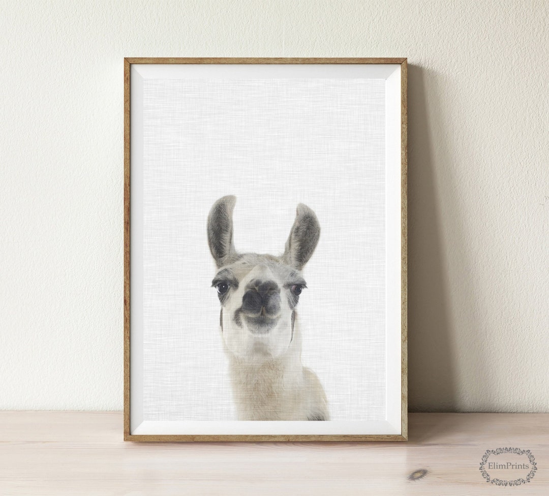 Lama Print, Baby Lama Printable Wall Art, Instant Download Wall Art ...