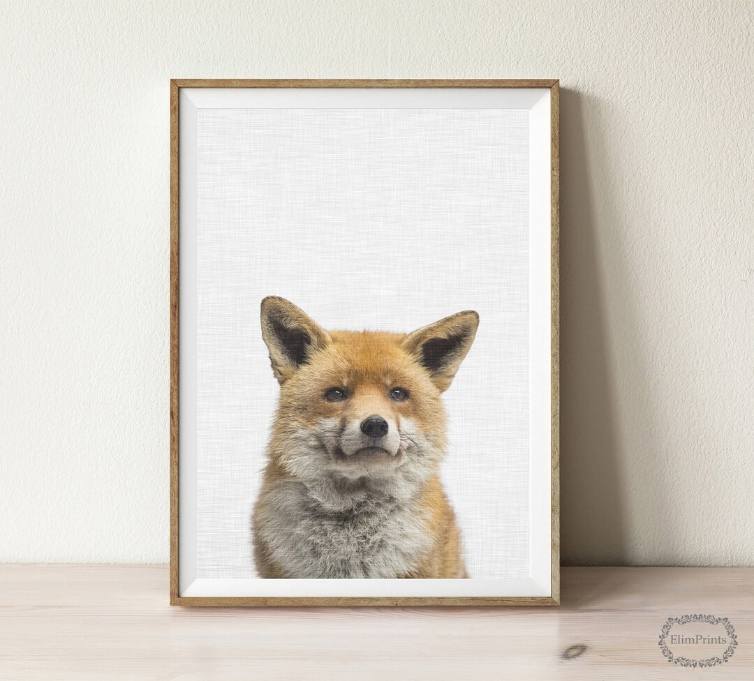 Fox Prints, Baby Fox Printable Art, Baby Nursery Animal, Nursery Poster ...