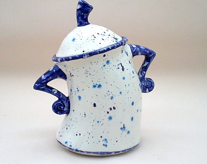 Retro Classic Blue Sassy Canister - Etsy