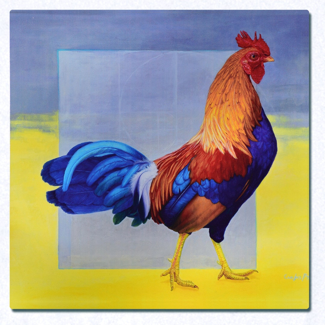 Colorful Rooster Art Print on Brushed Aluminum Metal - Etsy
