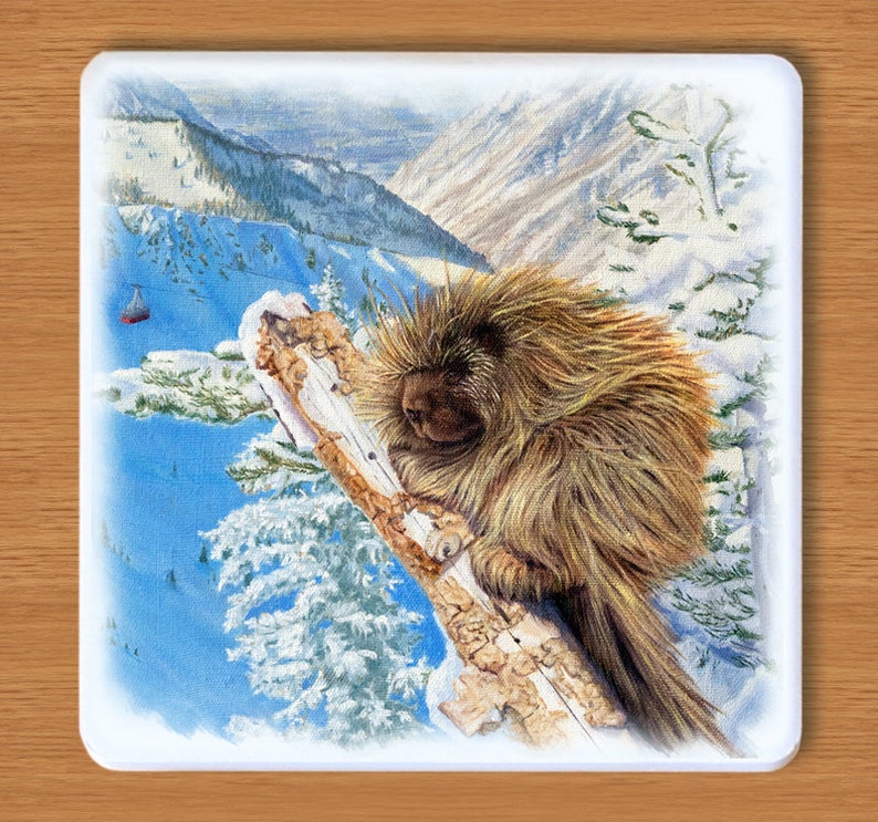 Snowbird Ski Themed Coasters - Skier - Snowboarder Gift - Snowbird Tram ...