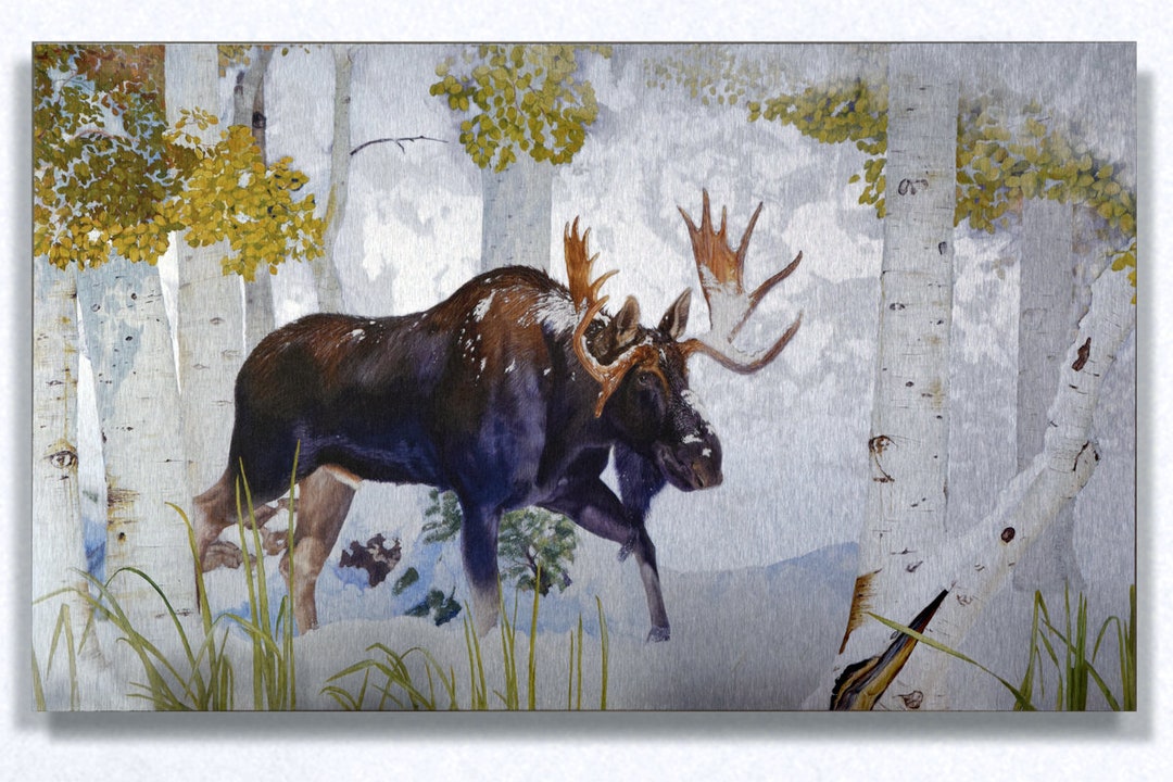 Moose in Early Snow Print on Brushed Aluminum Metal - Etsy