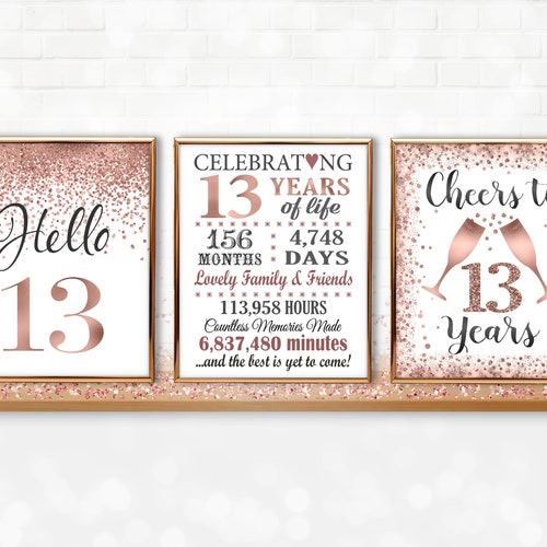 13th Birthday Signs Bundle Cheers to 13 Years Hello 13 - Etsy