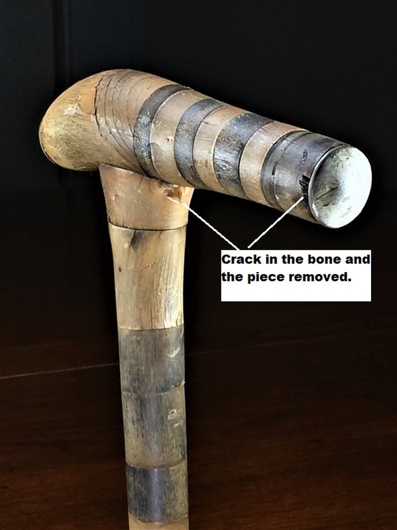 Antique Bone Walking Cane - Etsy