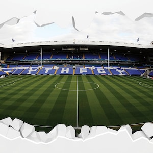 Tottenham Hotspur Football Club Smashed Stadium Wall Mural Spurs Wall ...