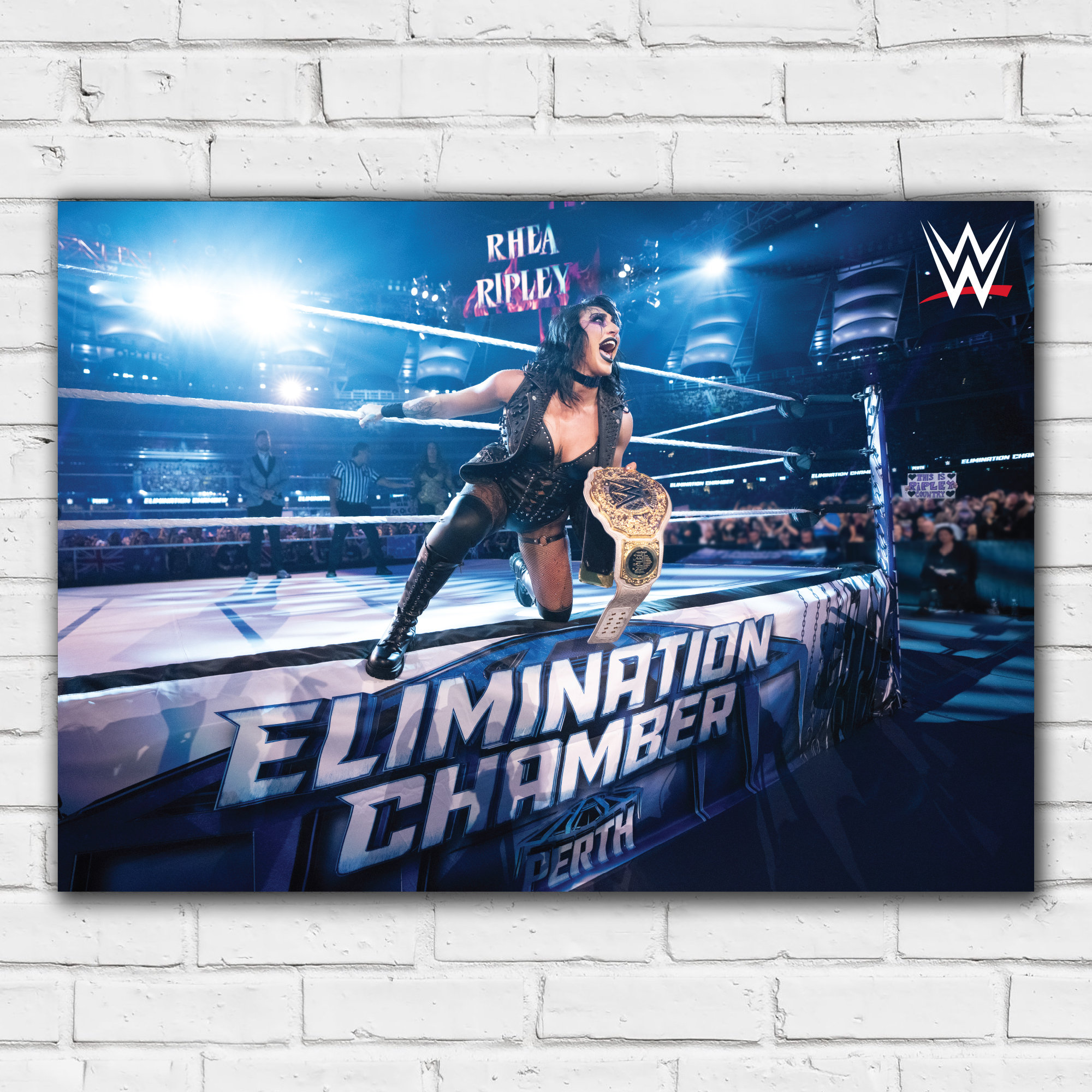 Elimination Chamber Poster WWE Elimination Chamber 2023 Poster V1 By