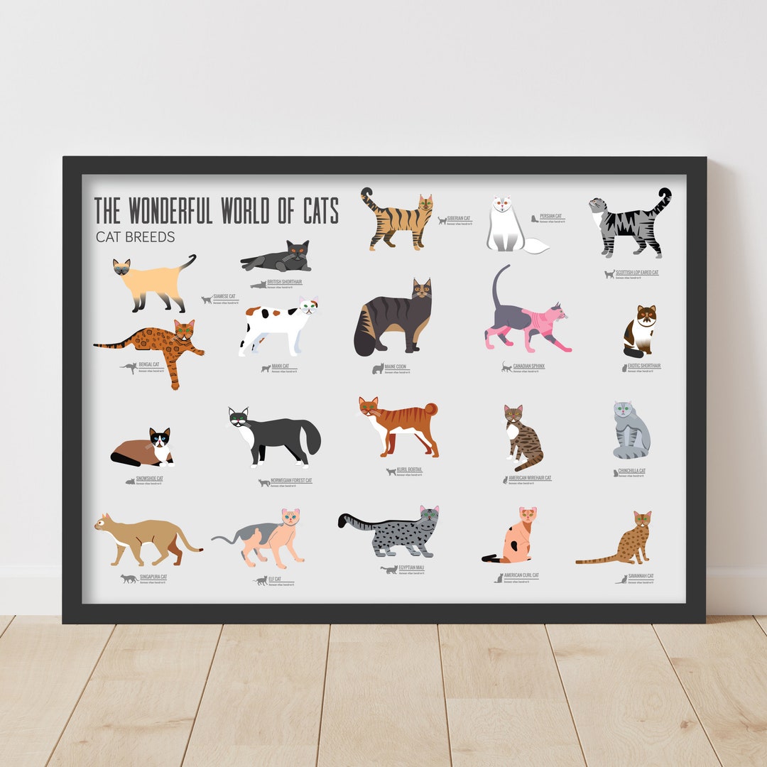Cat Wall Print - Cat Breeds Poster Art - Etsy