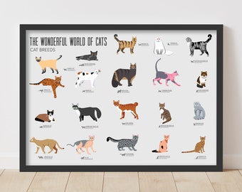 Printable Cat Breeds Poster, Cat Lover Gift, Cat Breeds Infographics ...