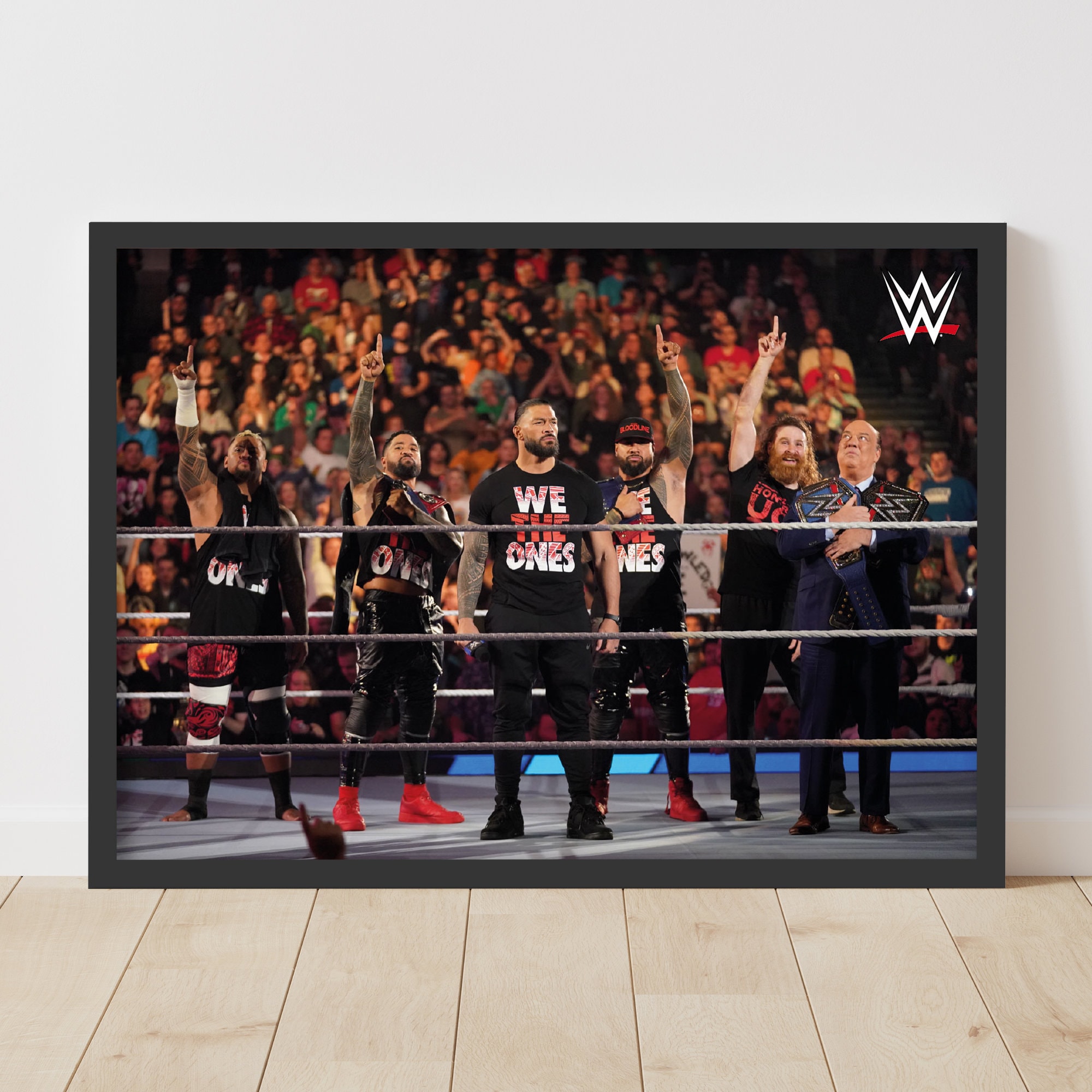 Wwe Wrestling Wallpaper Border