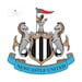 Newcastle United Football Club - Crest Wall Sticker NUFC Decal - Etsy UK