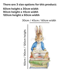 Peter Rabbit Wall Sticker - Peter Rabbit Sitting on Stack of Books ...