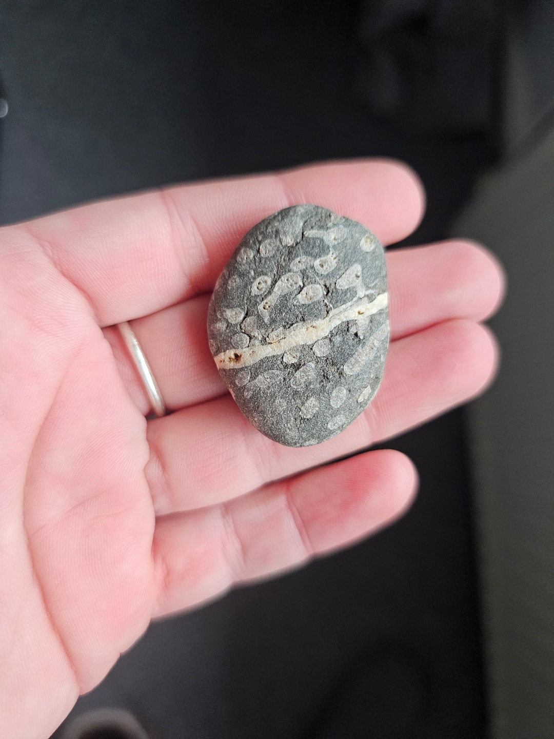 Wishing Stone Fossil Rare Find Heart Shaped Fossilised Coral Pebble ...