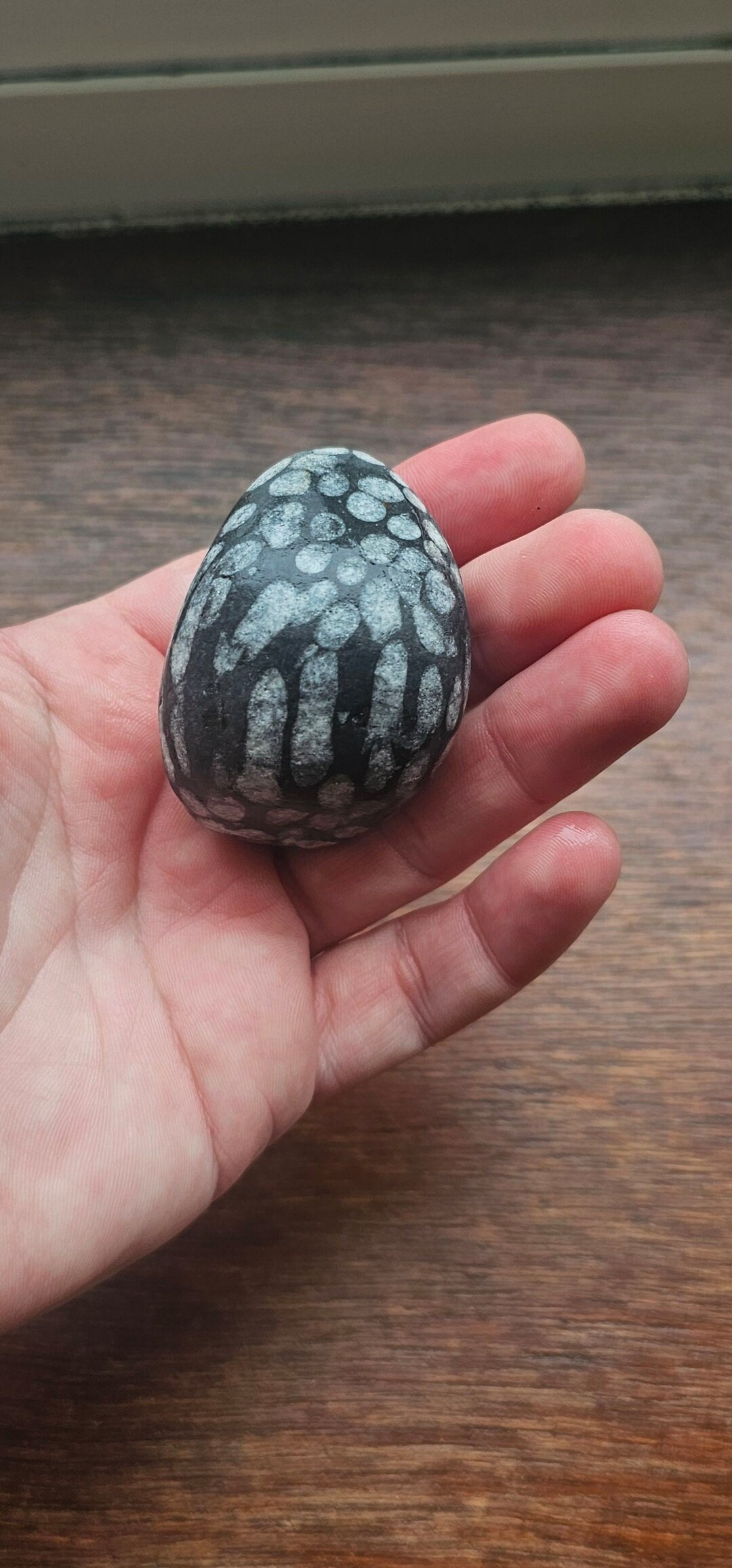 Beautiful Large Fossilised Coral Pebble Rare Fossil.over 300 Millions ...