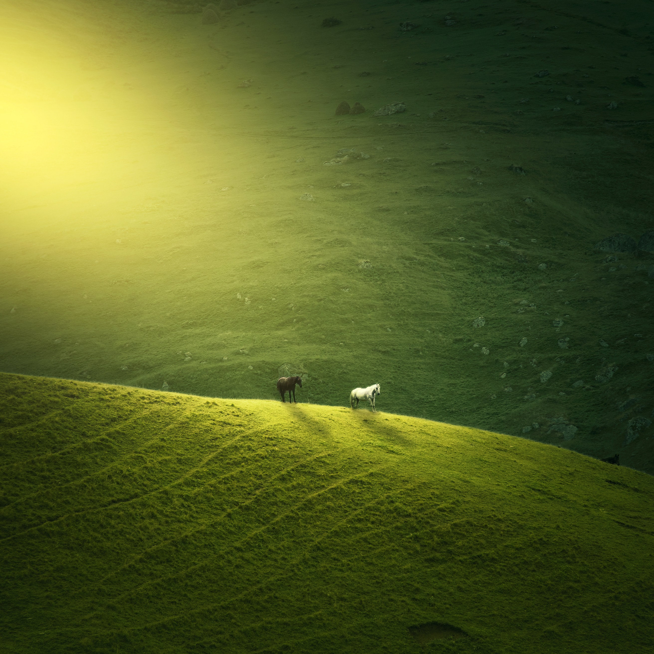 50 Professional Moody Tones Photoshop Presetes Made by Rafa Mekhraliev ...