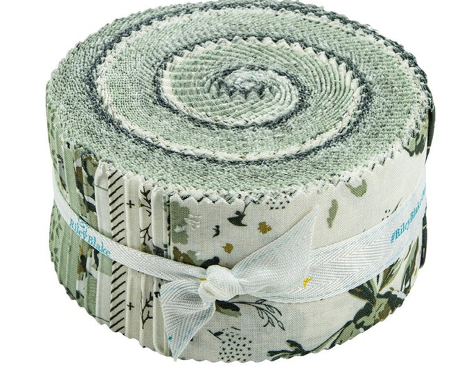 Gingham Fields ,2.5" Strips, Rolie Polie, My Minds Eye, Riley Blake ...