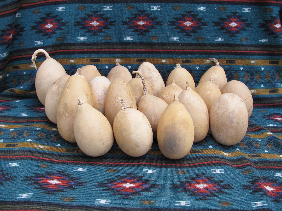 Dried Natural Gourds - 20 LOT - Twenty "seconds" Oval Egg Shapes, Great ...