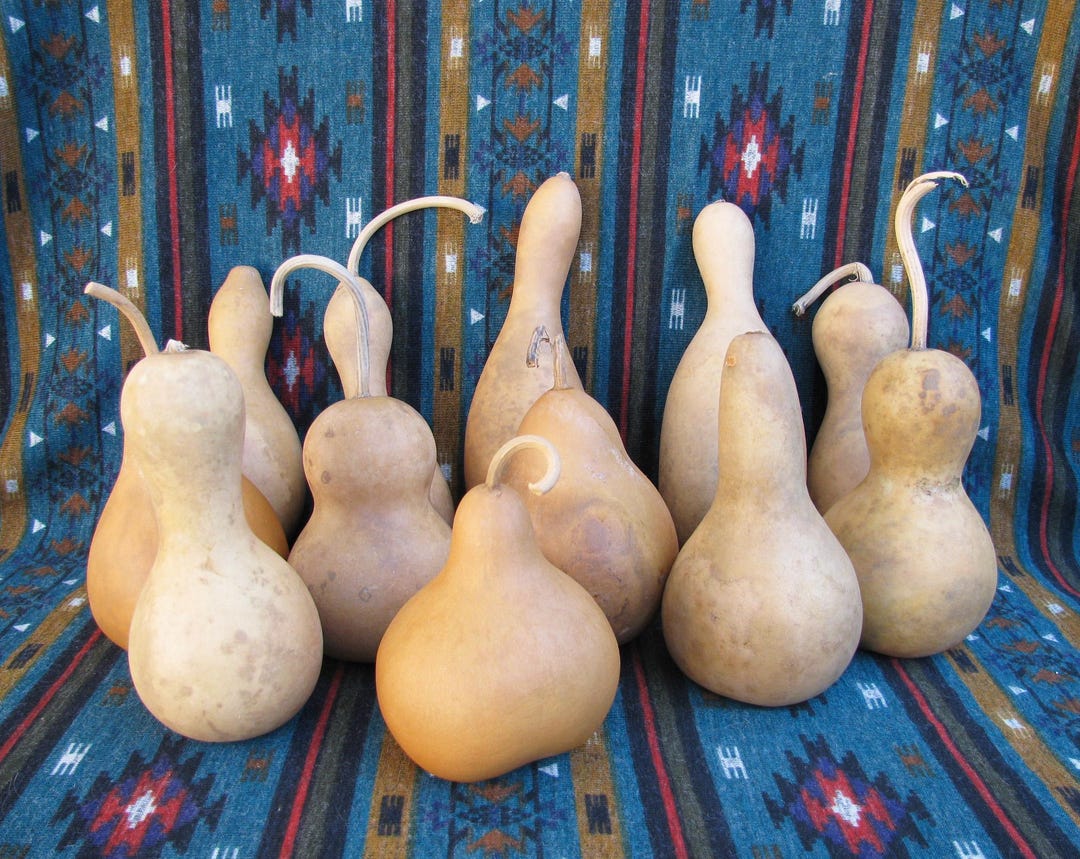 Dried Natural Gourds - 12 LOT - One Dozen "seconds" Assorted Shapes ...