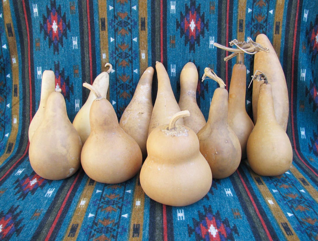 Dried Natural Gourds - 12 LOT - One Dozen "seconds" Assorted Shapes ...