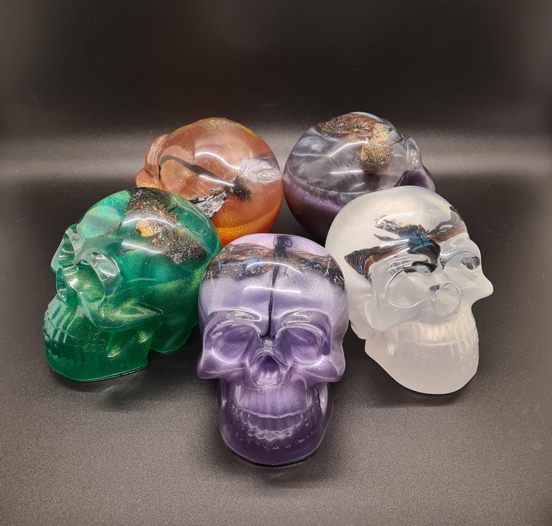 Resin Skulls With Insects - Etsy