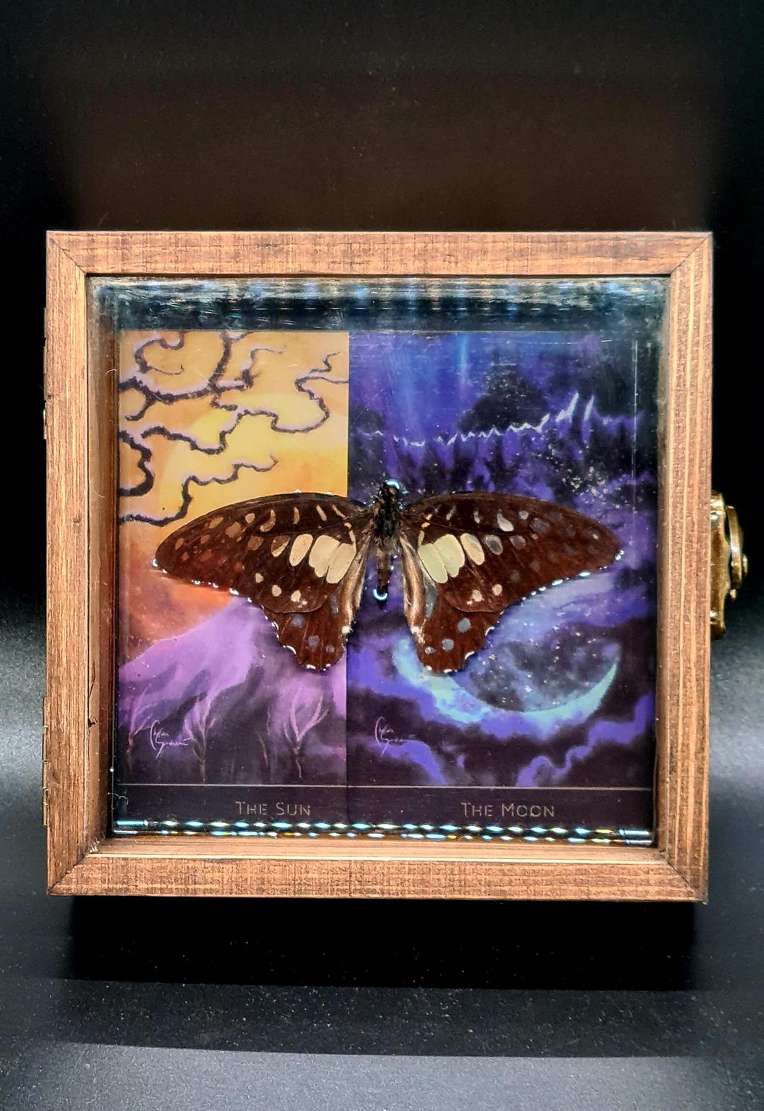 Real Butterfly With Tarot Cards Shadowbox - Etsy