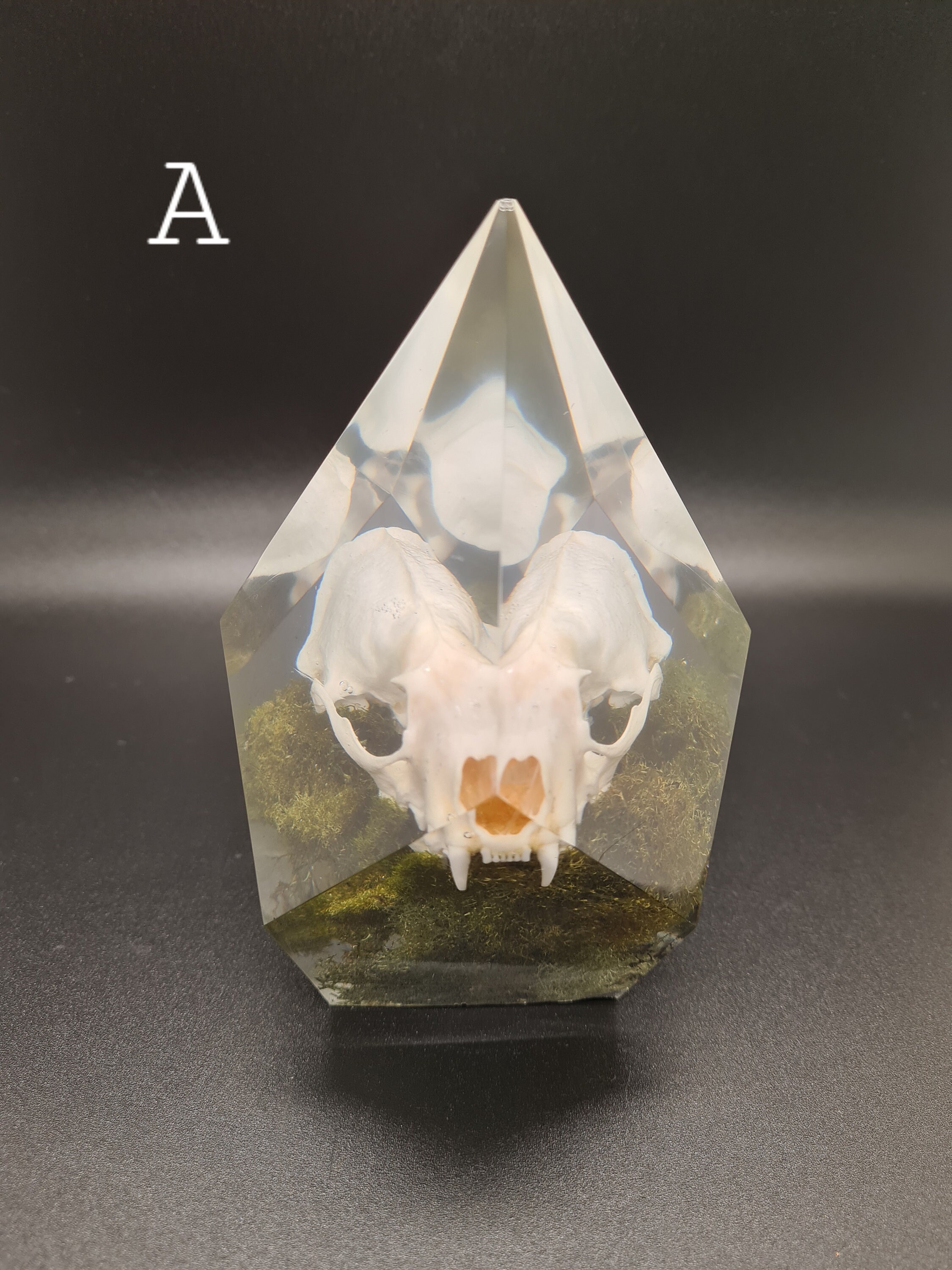 Resin Skull Crystal Forms - Etsy
