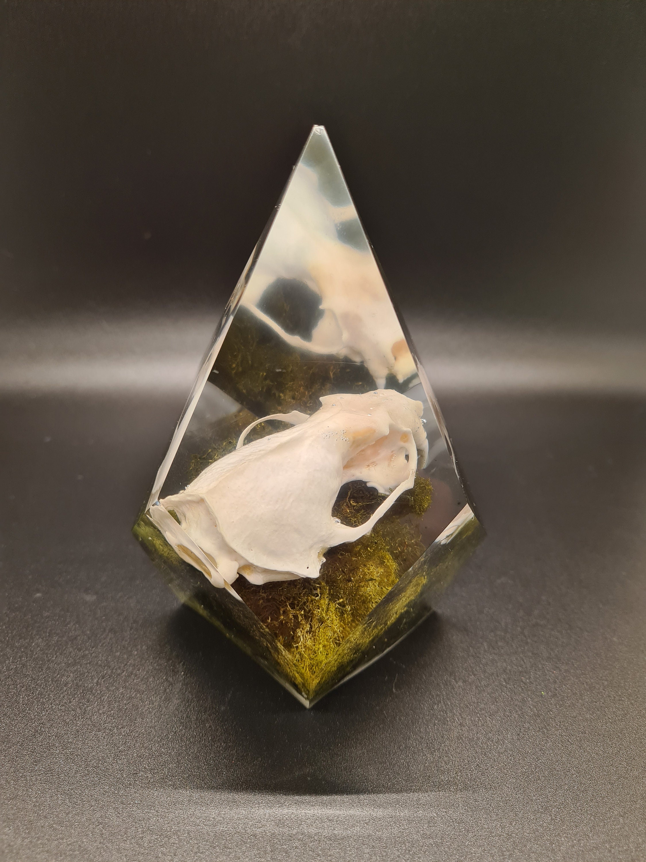 Resin Skull Crystal Forms - Etsy