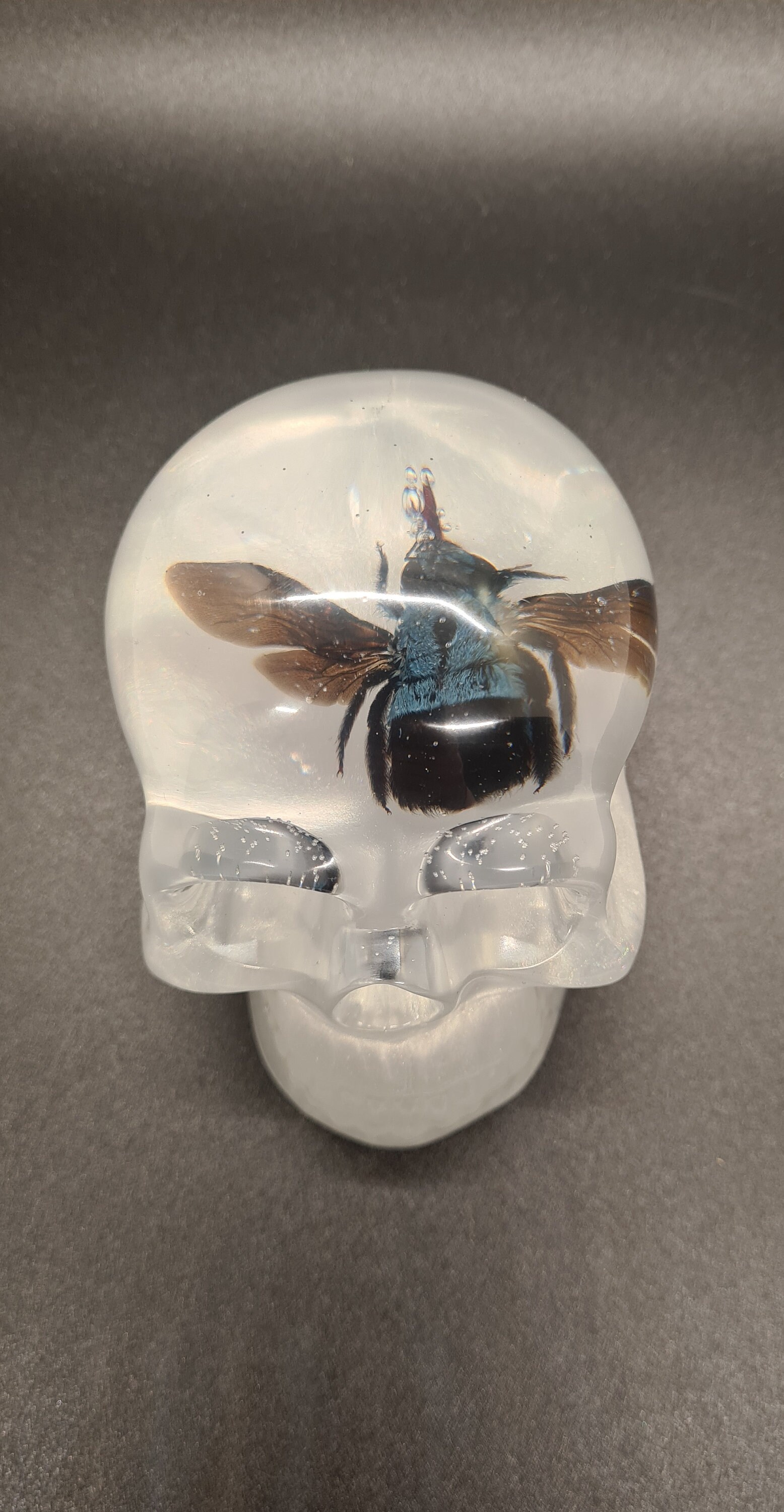Resin Skulls With Insects - Etsy