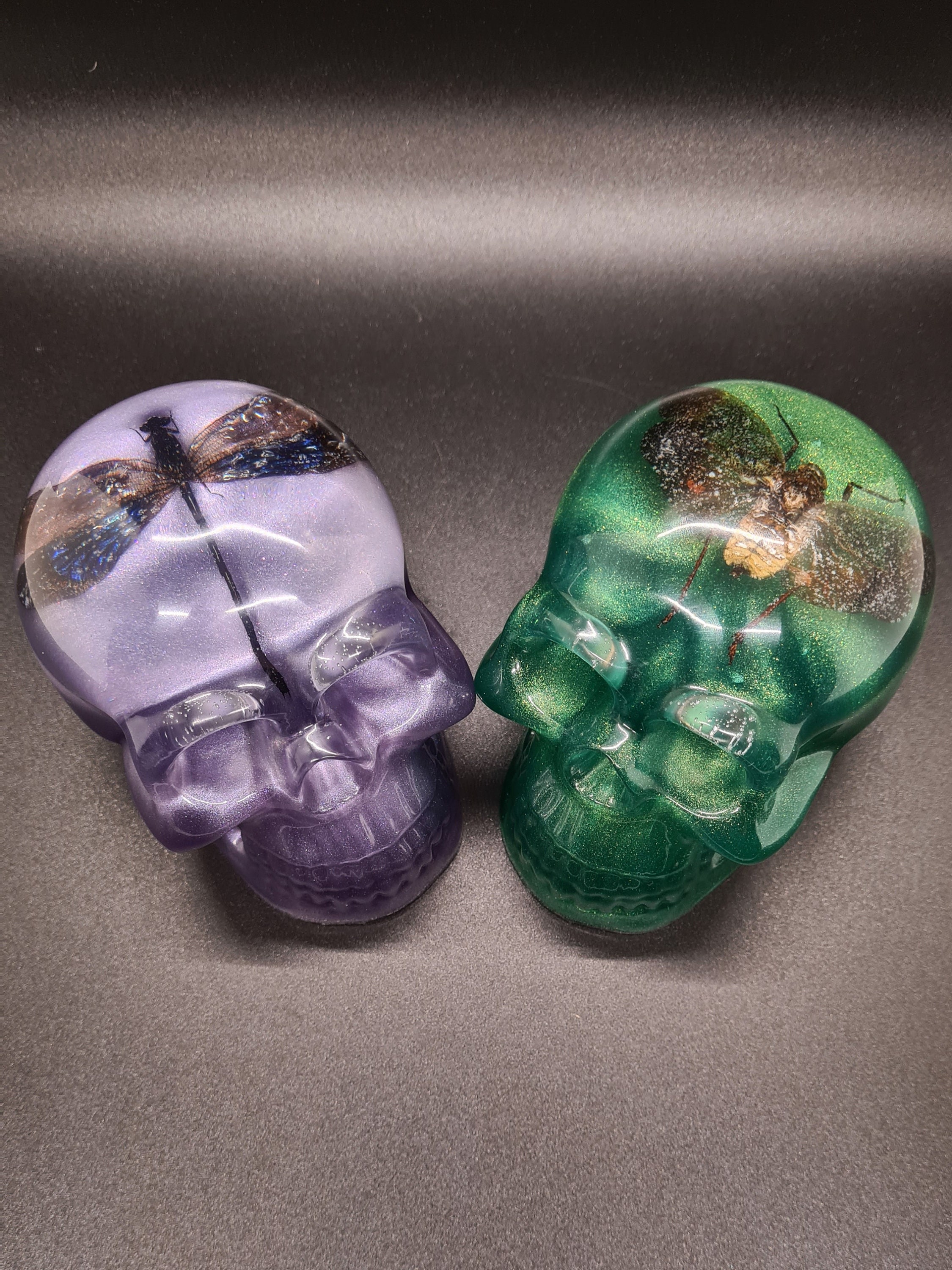 Resin Skulls With Insects - Etsy