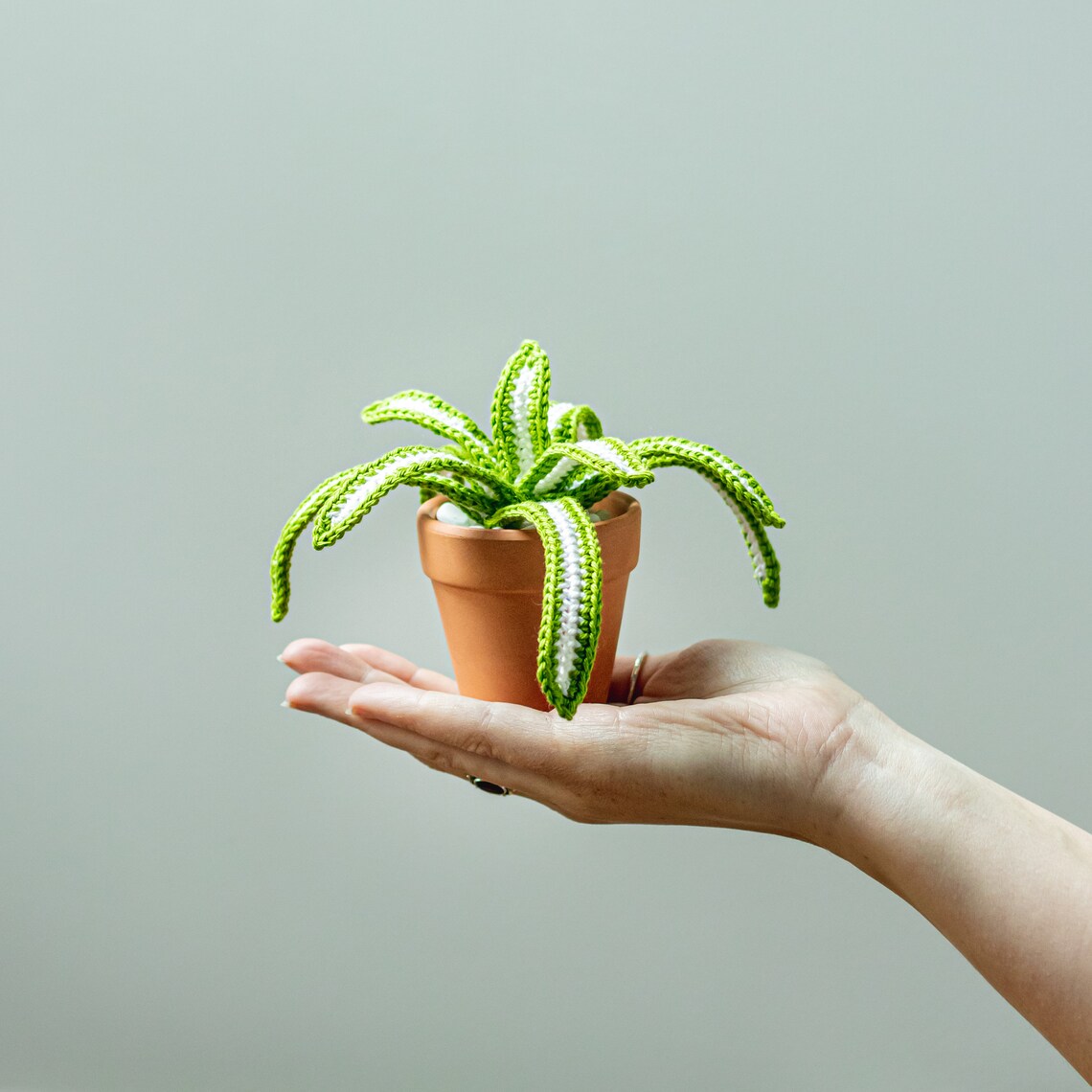 Spider Plant Crochet Pattern Amigurumi Houseplant - Etsy