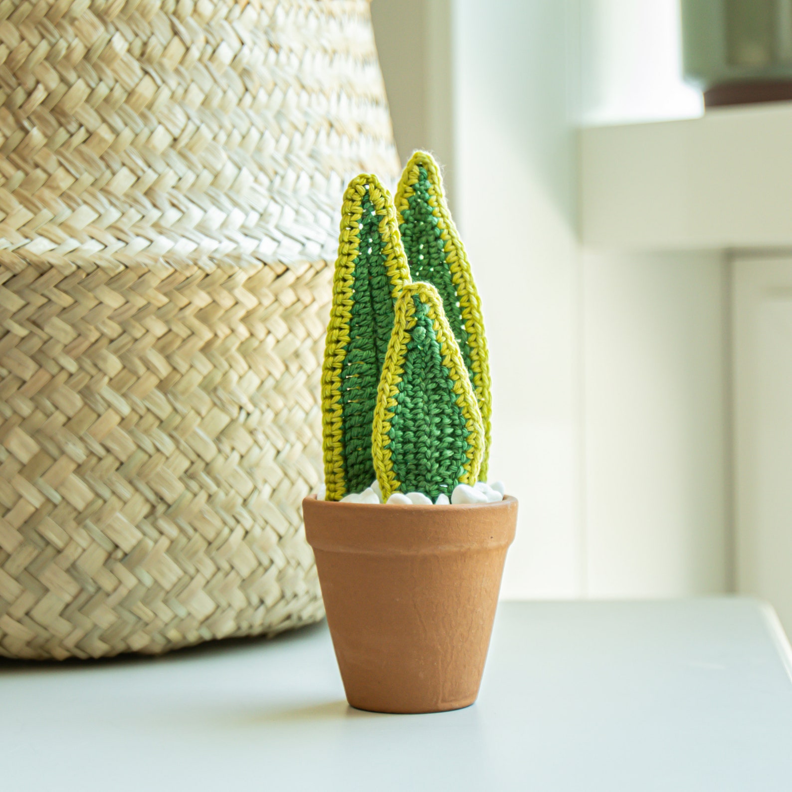 Snake Plant Crochet Pattern Amigurumi Houseplant | Etsy